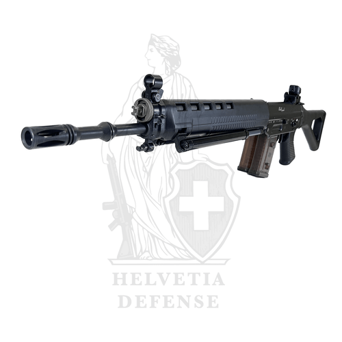 SIG SAUER PE90 GP90 5.6mm Semi-Automatic Assault Rifle with Hardcase ...