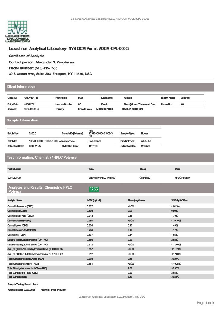 Traffic Jam 3.5g Jar 2.0