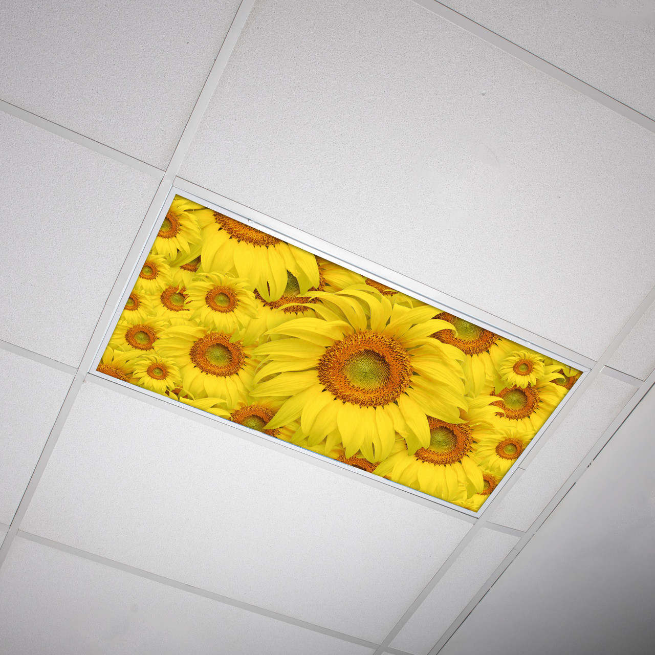Cloud Fluorescent Light Covers Decorative Light Covers