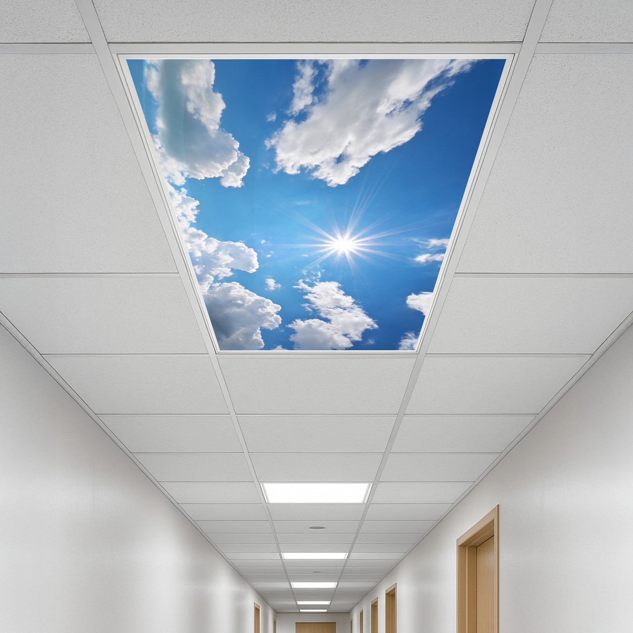 Premium Polycarbonate Fluorescent Light Covers | Octo Prints & Lighting