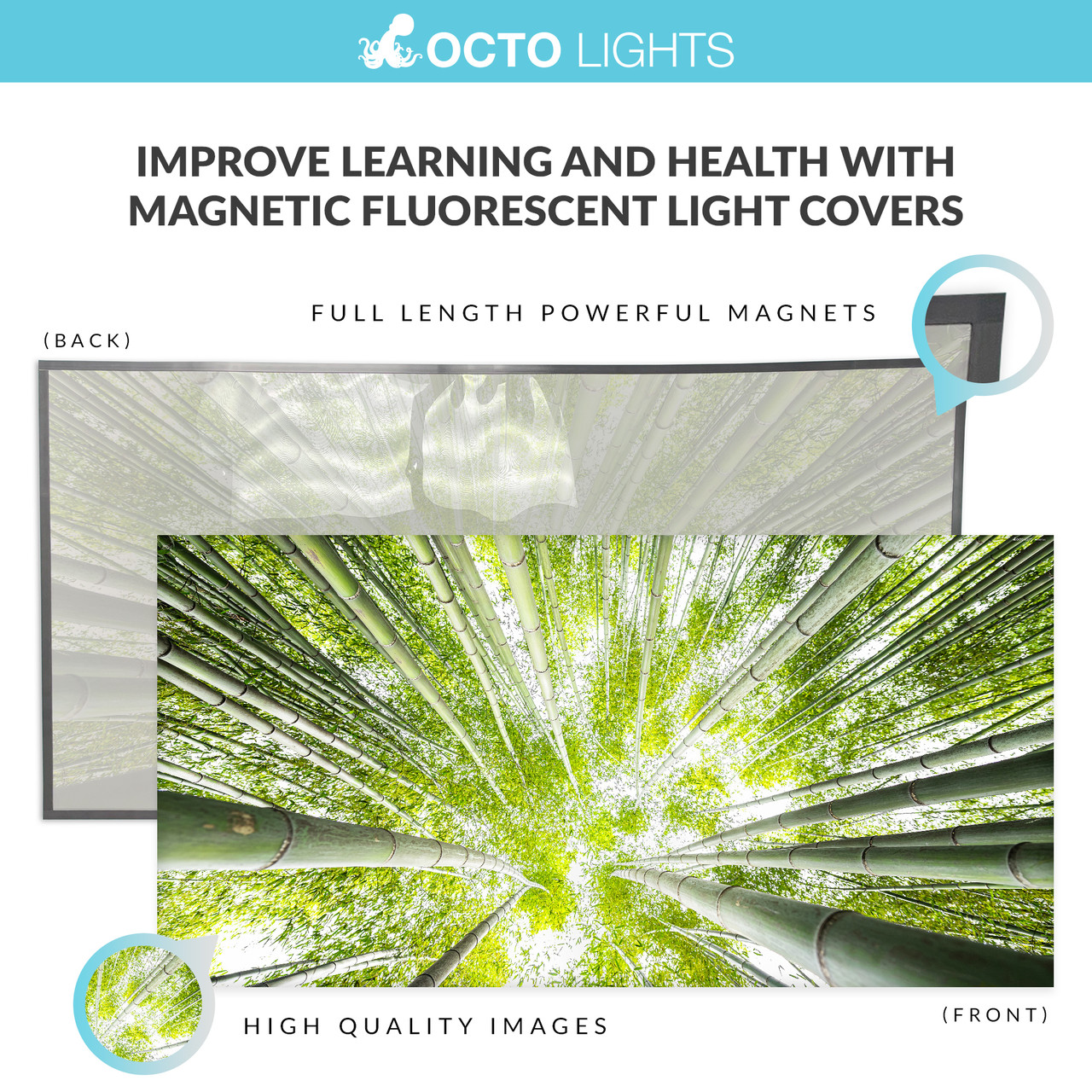 Upgrade Your Classroom Lighting With Bamboo Tree Magnetic Fluorescent