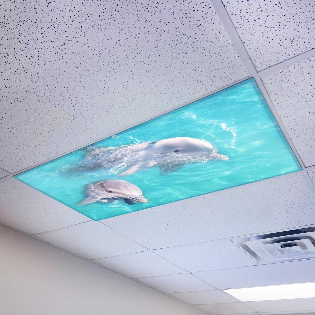 Dolphin Magnetic Light Panels Reduce Eye Strain And Improve Focus