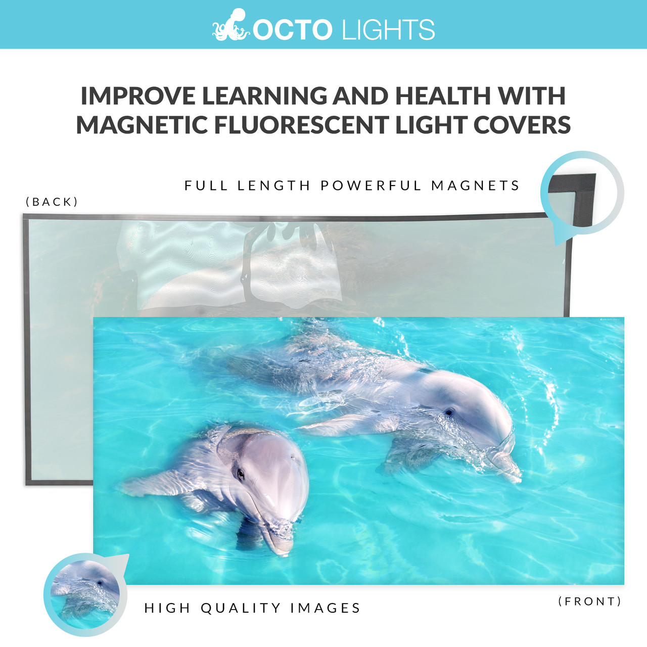 Dolphin Magnetic Light Panels Reduce Eye Strain And Improve Focus