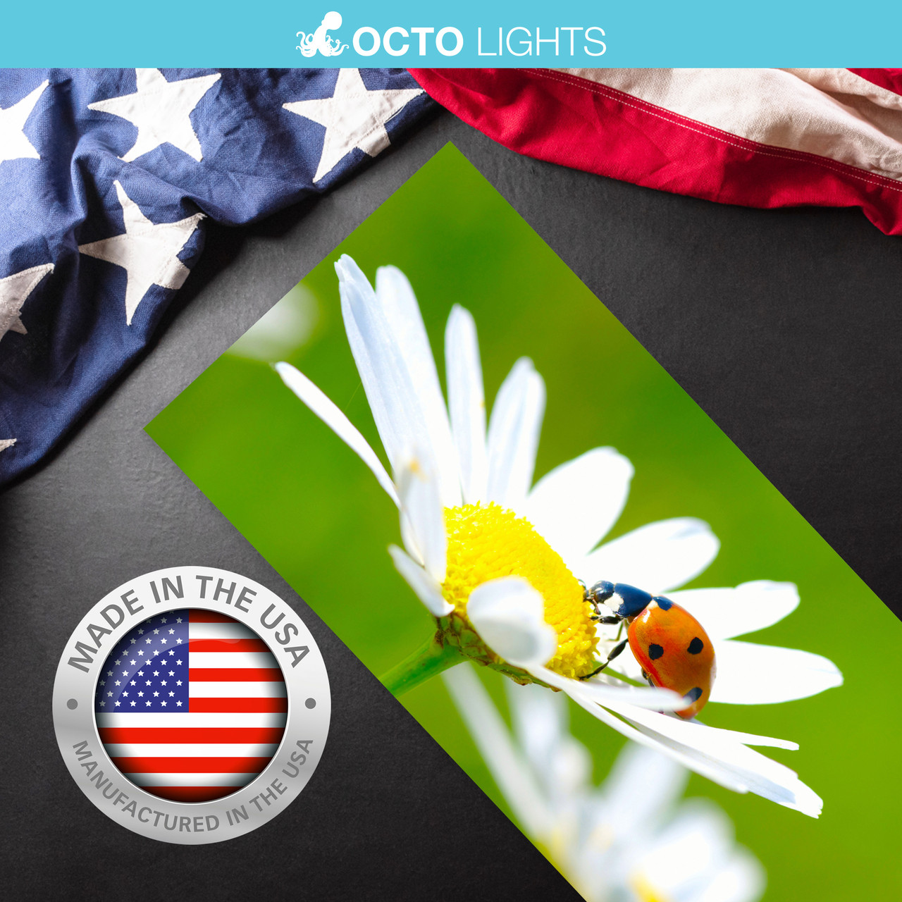 Add A Pop Of Color With Magnetic Flower Light Panels