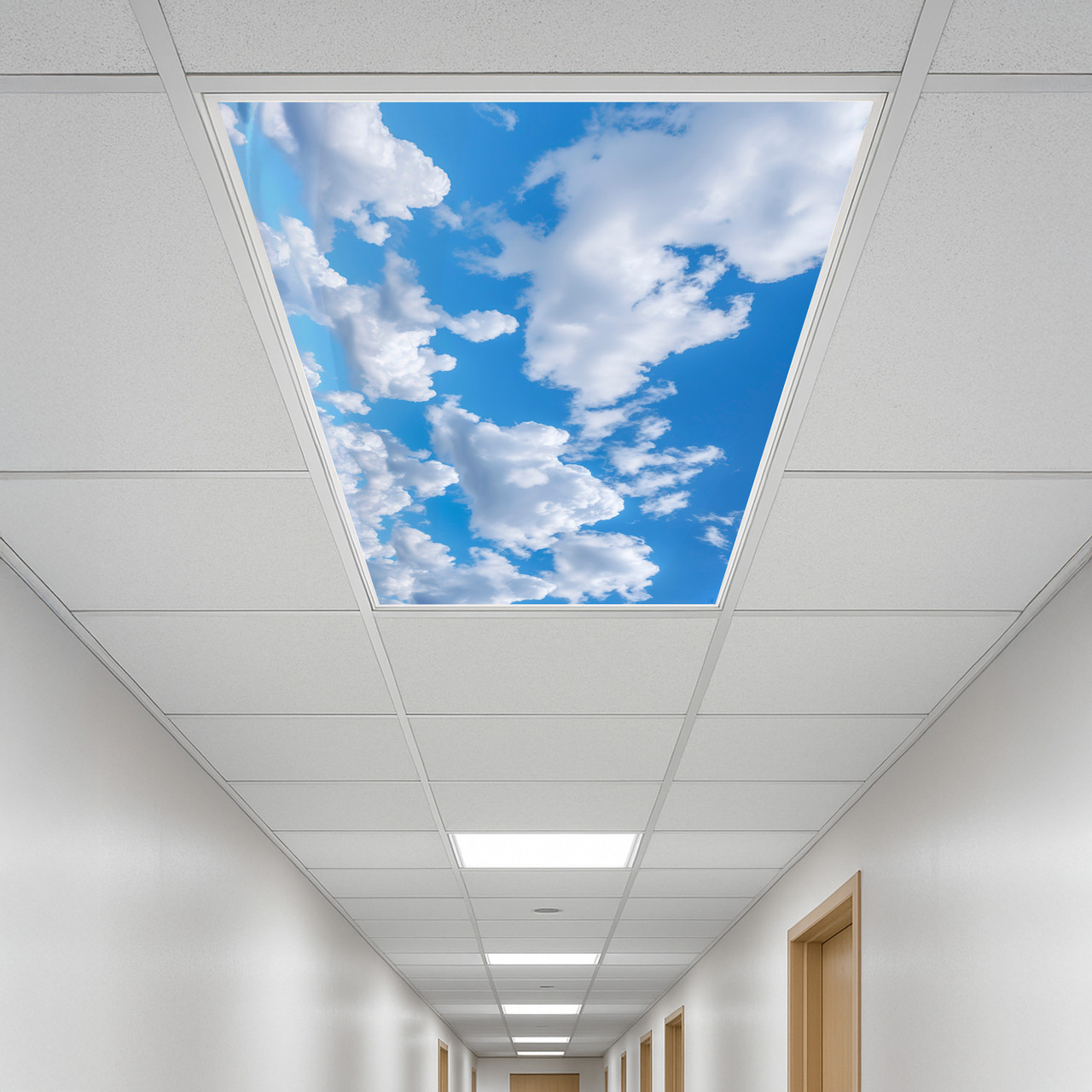 Premium Light Cover for Fluorescent Lights | Polycarbonate Panels from ...