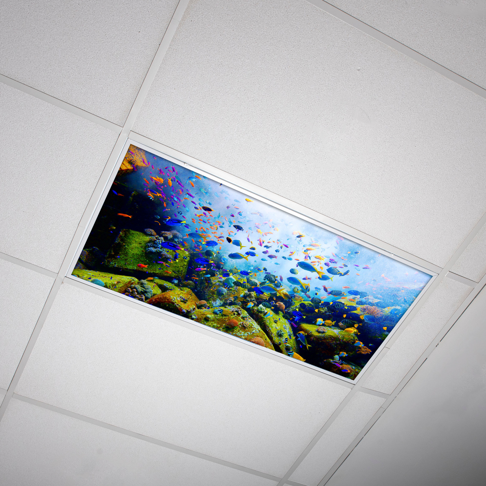 Ocean Light Covers | Marine-Themed Fluorescent Ceiling Panels
