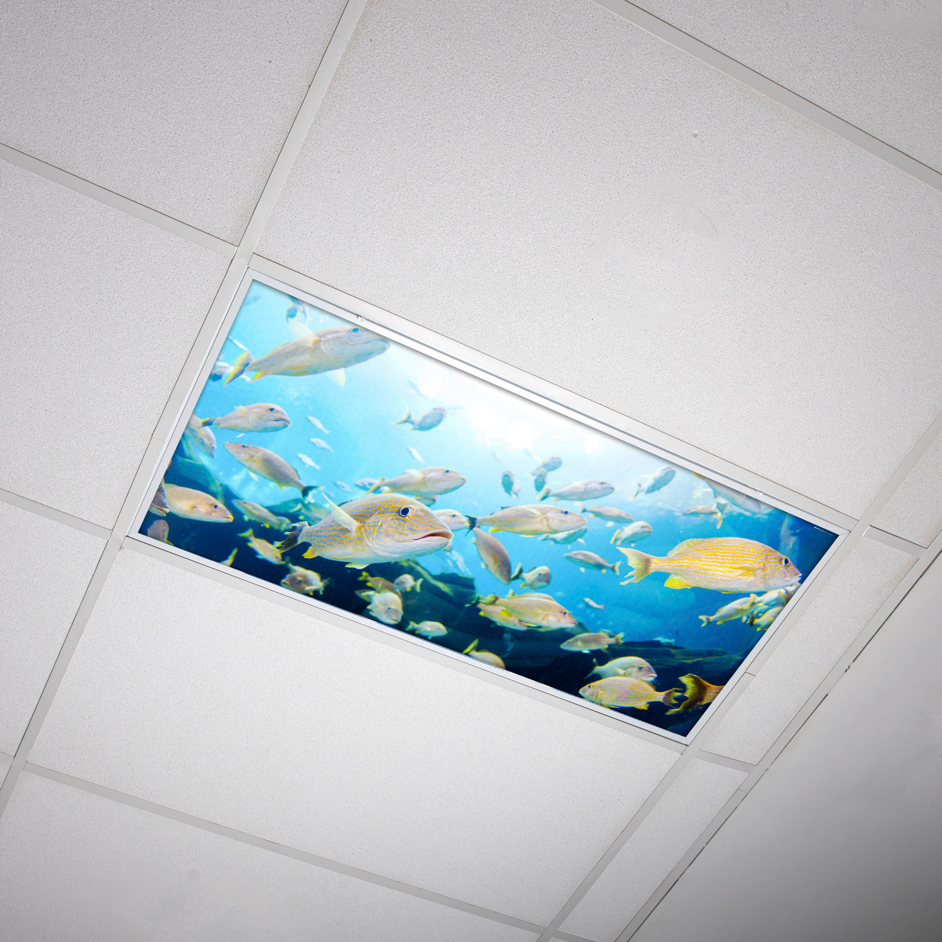 Ocean Light Covers | Marine-Themed Fluorescent Ceiling Panels