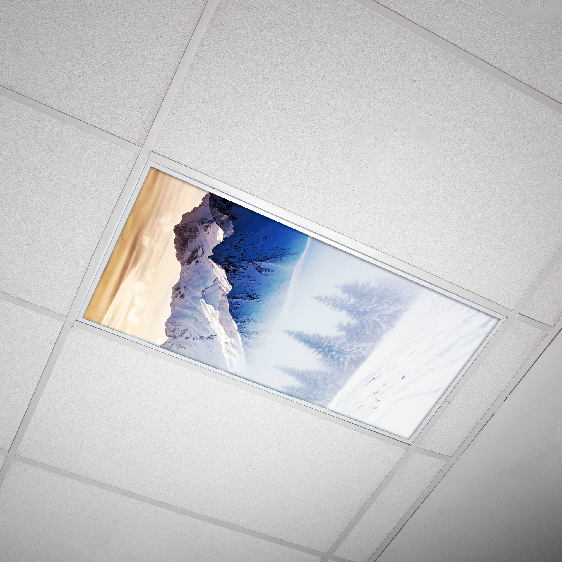 Ocean Themed Ceiling Light Panels Sea Life Light Panel Covers