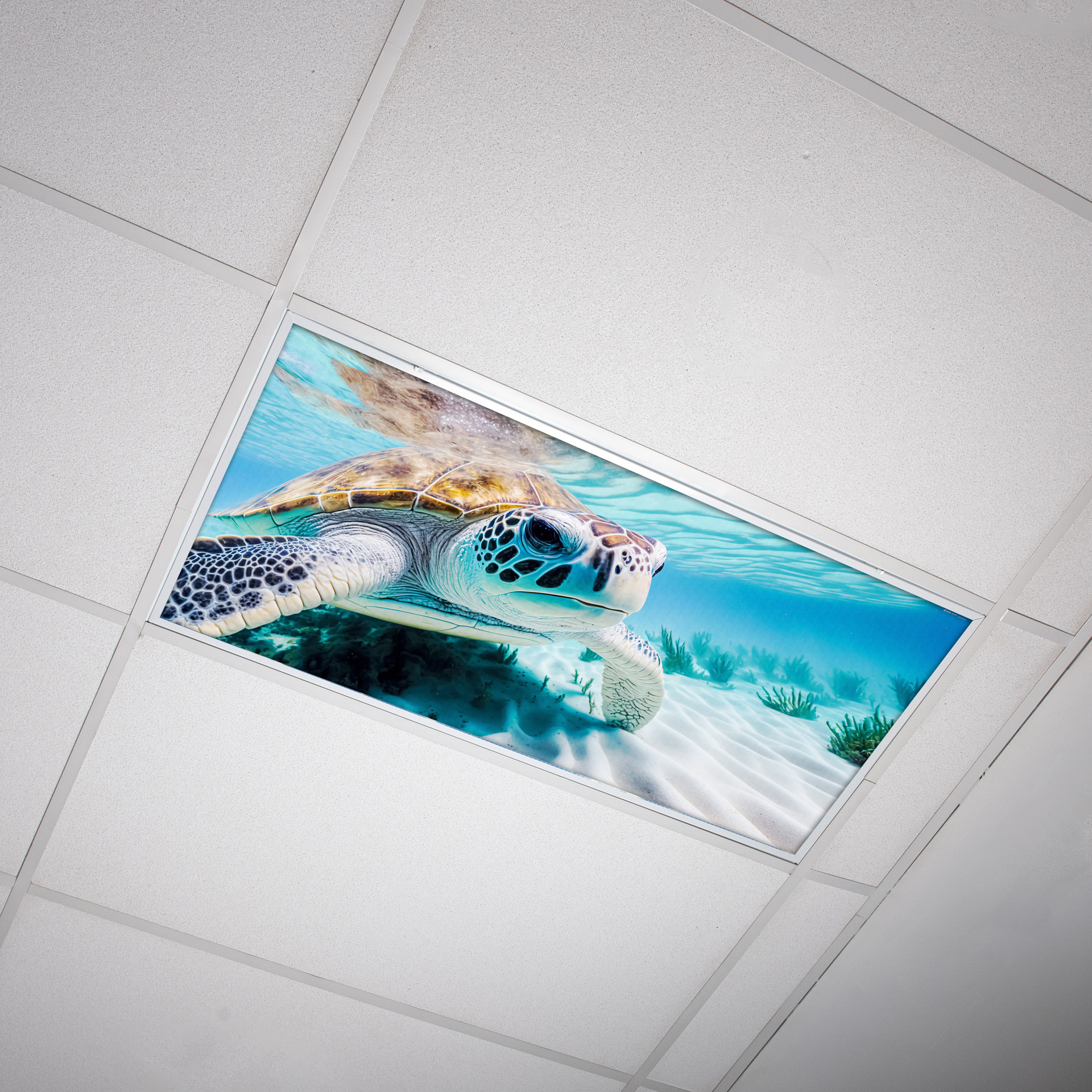 Ocean Light Covers | Marine-Themed Fluorescent Ceiling Panels