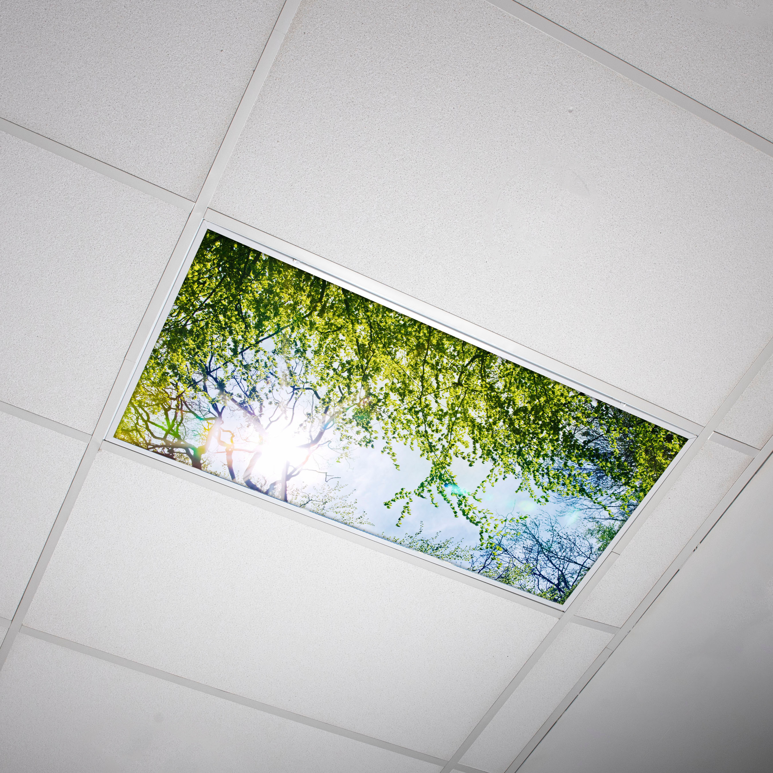 Tree Light Covers | Nature-Inspired Fluorescent Ceiling Panels