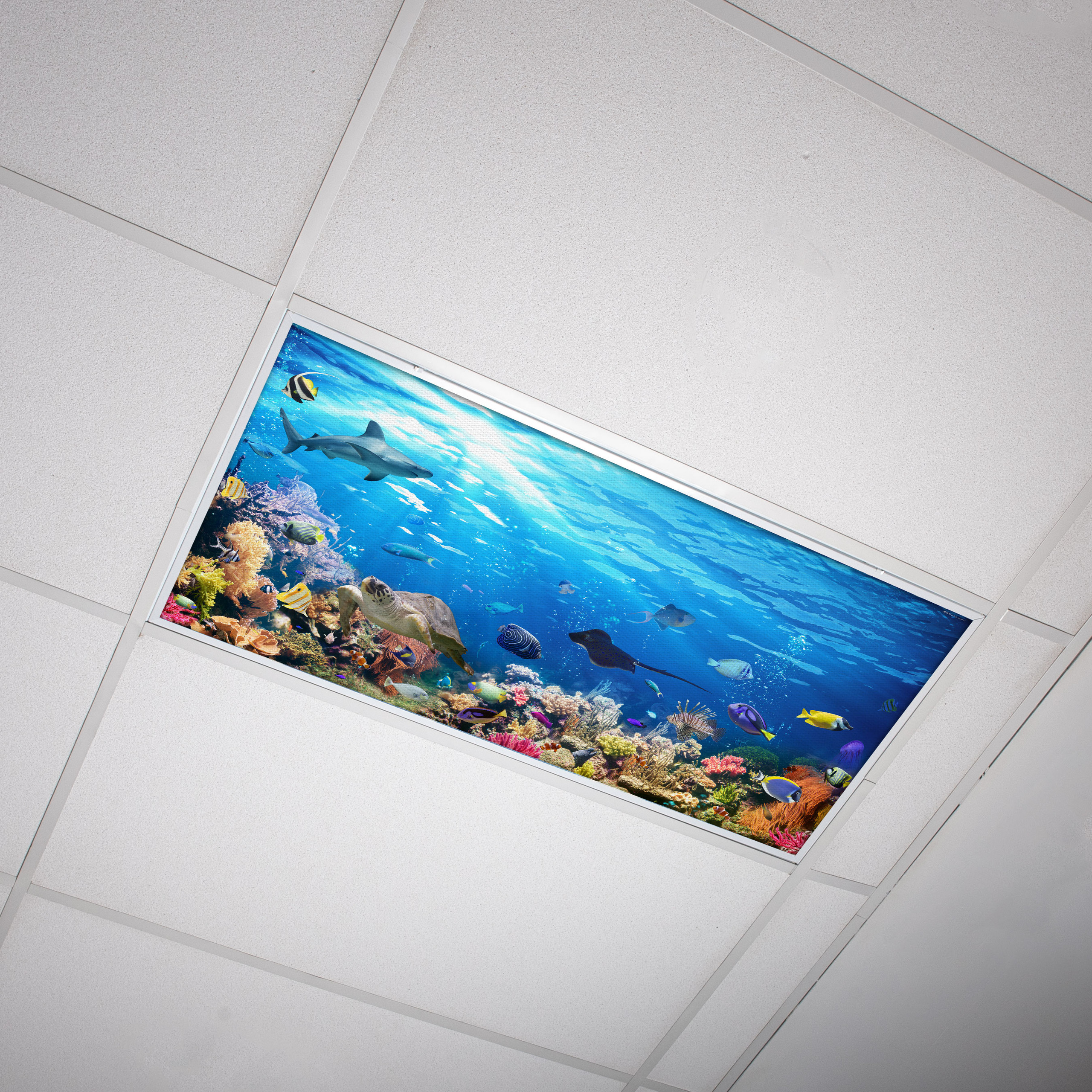 Ocean Light Covers | Marine-Themed Fluorescent Ceiling Panels