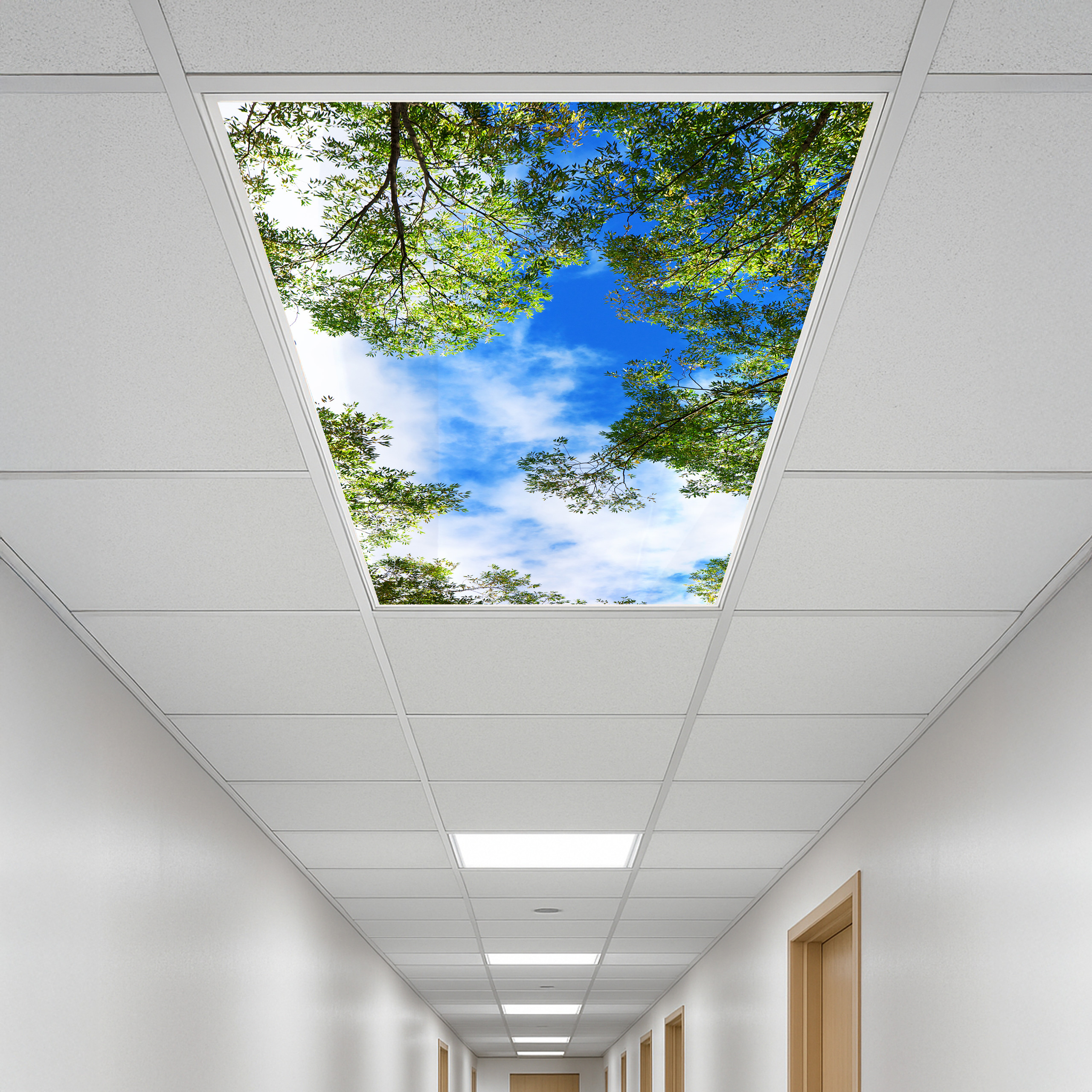 Premium Polycarbonate Fluorescent Light Covers | Octo Prints & Lighting