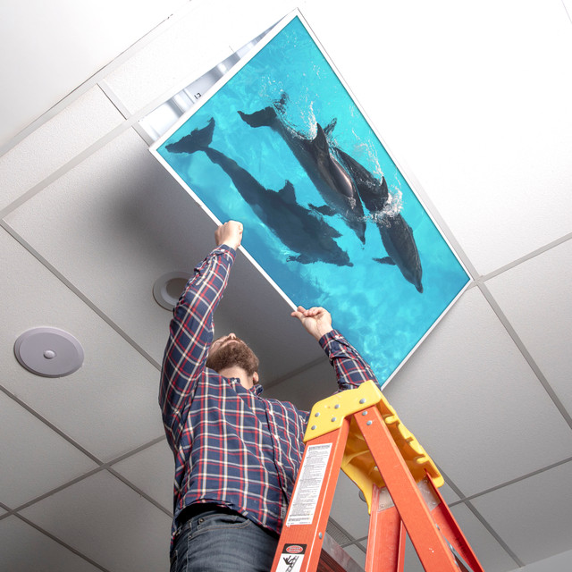 Ocean 003 Fluorescent Light Cover - Octo Prints & Lighting
