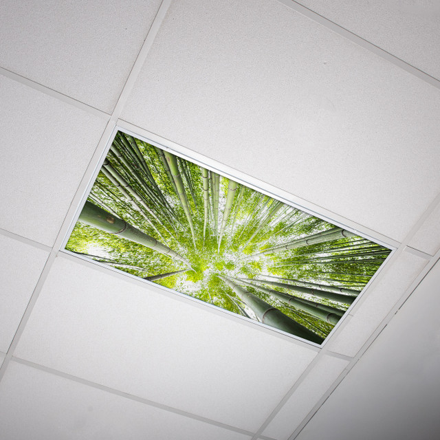 Tree Light Covers | Nature-Inspired Fluorescent Ceiling Panels