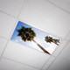 Tree Light Covers | Nature-Inspired Fluorescent Ceiling Panels