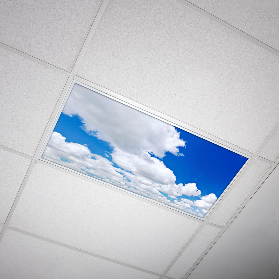 Cloud Drop Ceiling Light Panels Fluorescent Diffusers