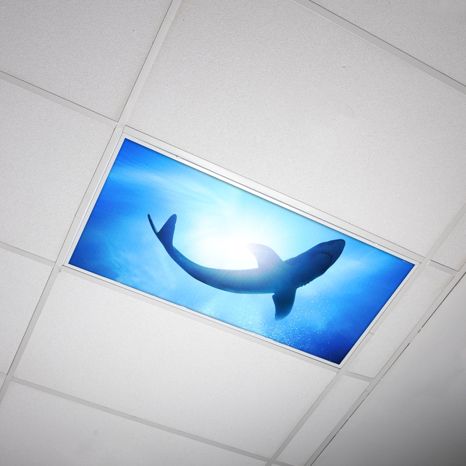 Ocean Light Covers | Marine-Themed Fluorescent Ceiling Panels