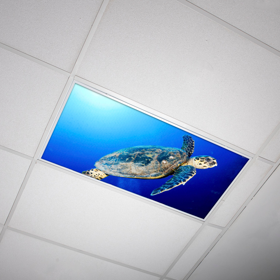 Ocean Light Covers | Marine-Themed Fluorescent Ceiling Panels
