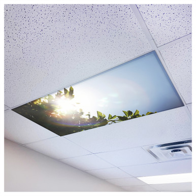 Create a Calming Environment with Office Light Covers - Magnetic Oak Tree