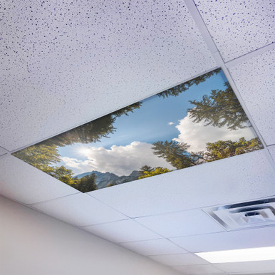 Office Light Covers - Tree Mountain Sky | Enhance Your Workplace