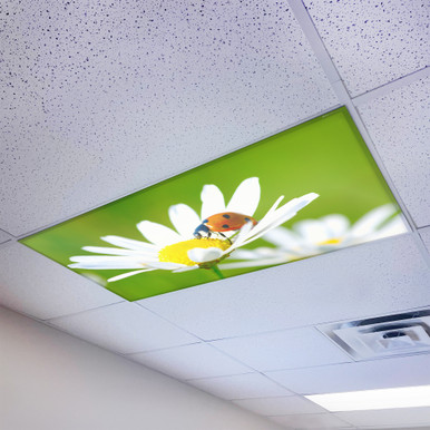 Add a Pop of Color with Magnetic Flower Light Panels