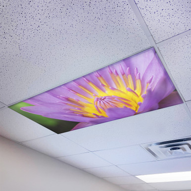 Create a Soft Ambience with Flower Magnetic Light Diffuser