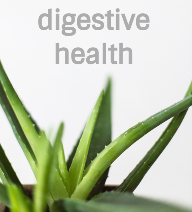 Digestive Health - Clear Medicine Wellness Boutique