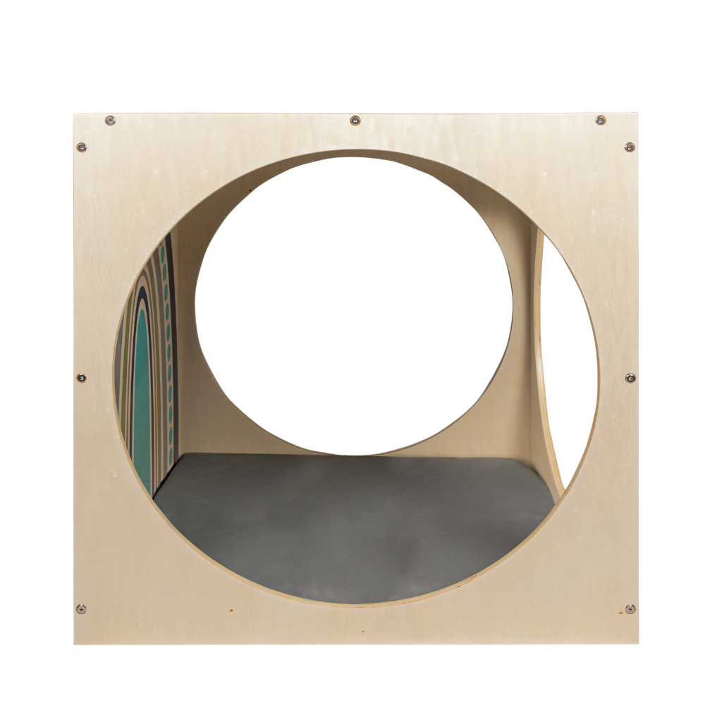 Reading Cube - National Autism Resources