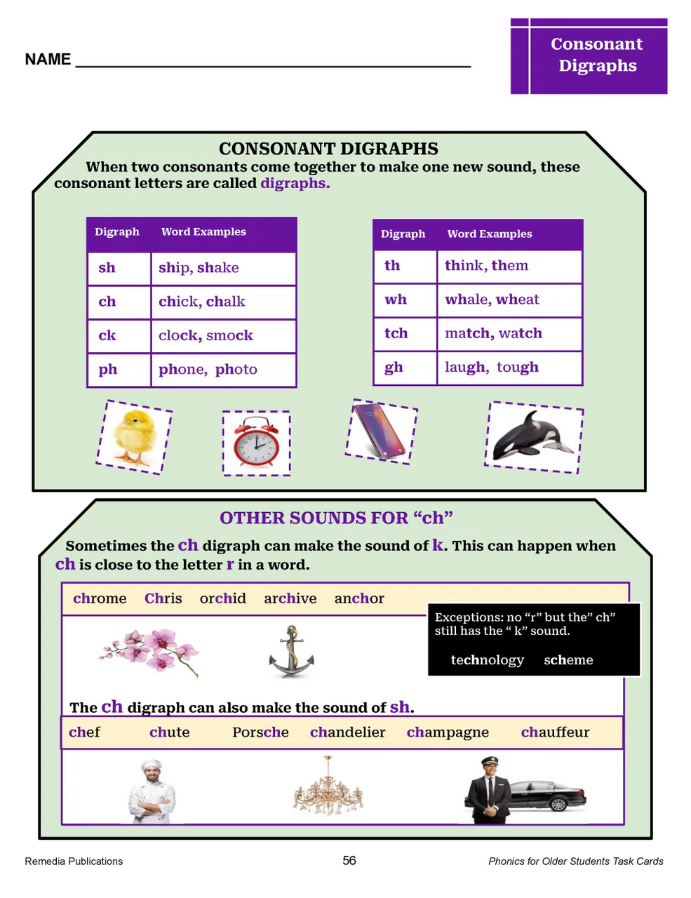 The Science of Reading for Older Students