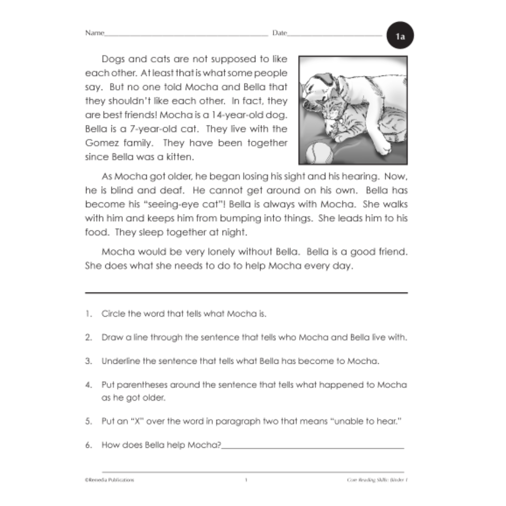 Core Reading Skills Program - National Autism Resources