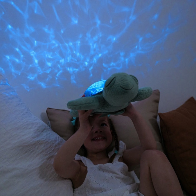 Tranquil Turtle: Visual Toys for Autism