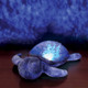 Tranquil Turtle: Visual Toys for Autism