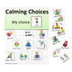 Calming Choices Chart - Autism Visual Supports
