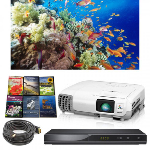 Sensory Room: Living Scenery Projector Bundle