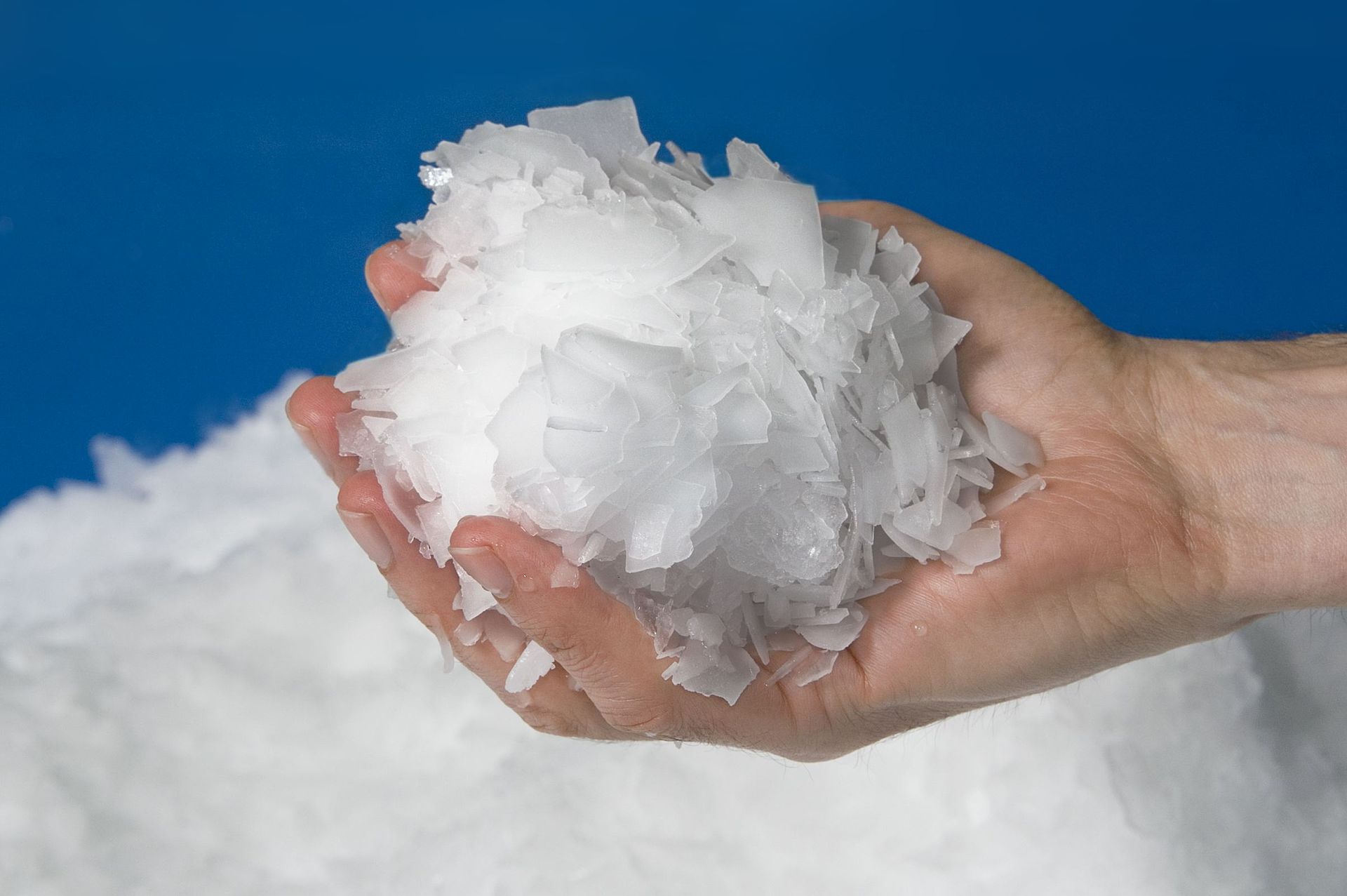 Ozonated Ice and Fish Storage - Ozone Solutions