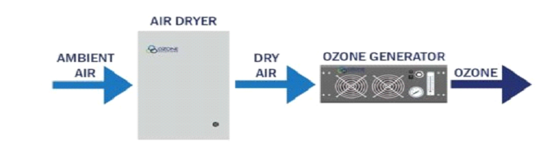 Feed Gas Differences - Ozone Solutions
