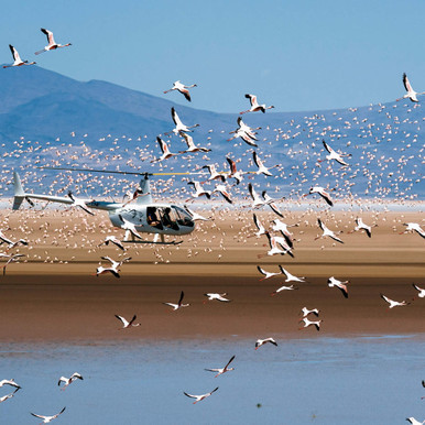 Aerial Escapes: 4 Amazing Fly-In Destinations