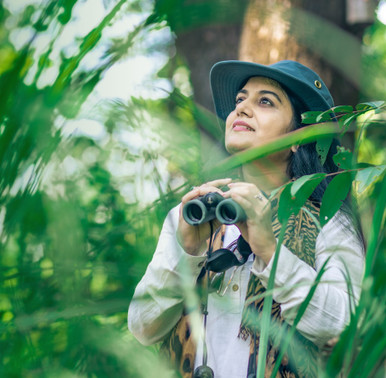 Tiger Mom: India Through the Eyes of Dimple Bhati