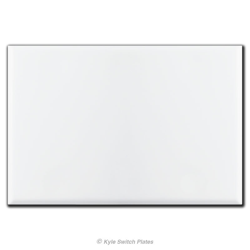 blank plate switch