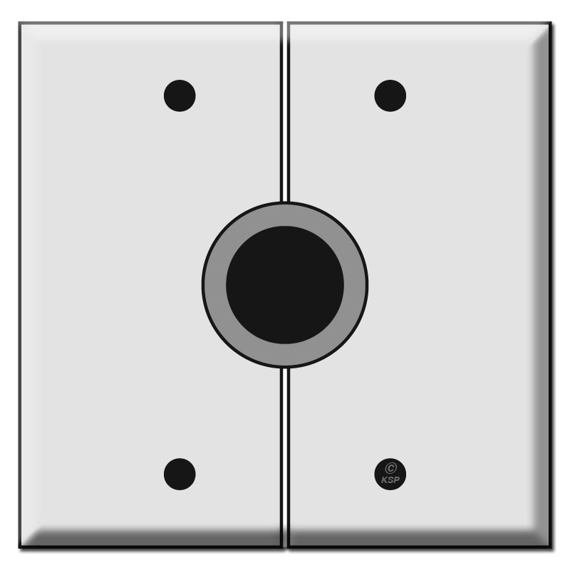 Split 2 Gang Audio Video Cable Wall Switch Plates with 1'' Opening