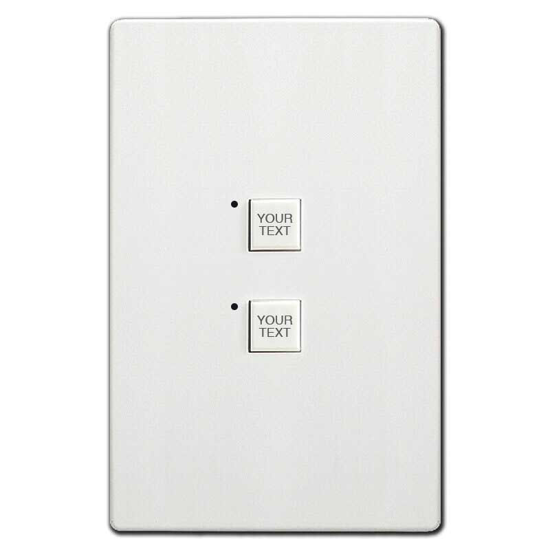 Engraved Touch Plate Low Voltage 2 LED Switch Controls Mystique