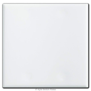 Jumbo 2 Gang All Blank Switch Plates with No Openings - White