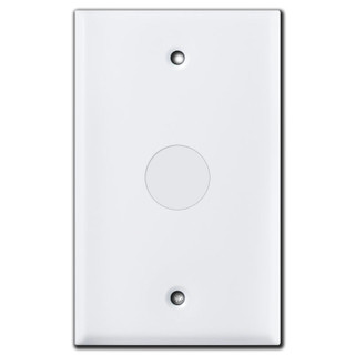 Electrical Conduit .75'' Opening Wall Switch Plates - Stainless Steel