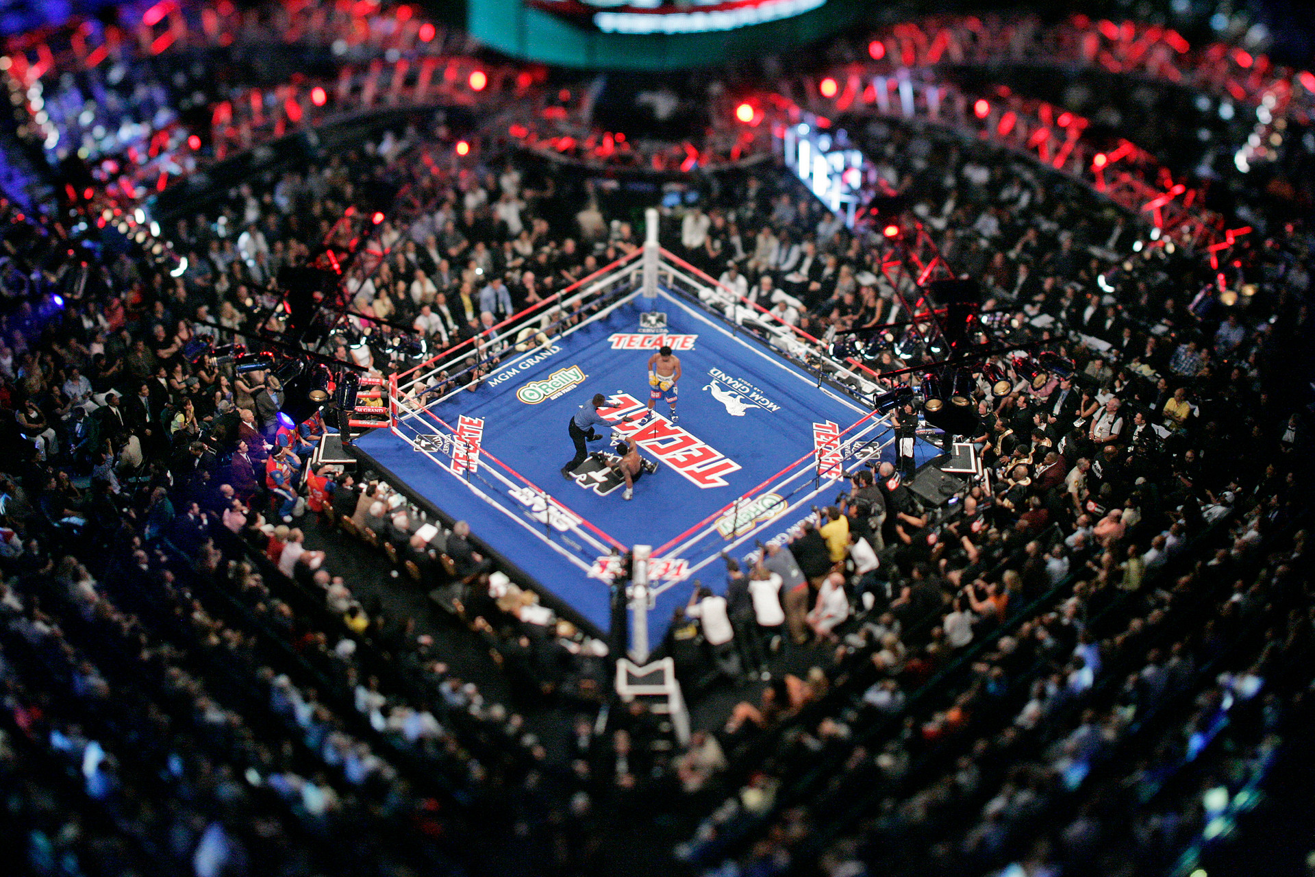Fight Shop: Boxing Equipment, Boxing Gloves, Pro Punching Bags, Boxing ...