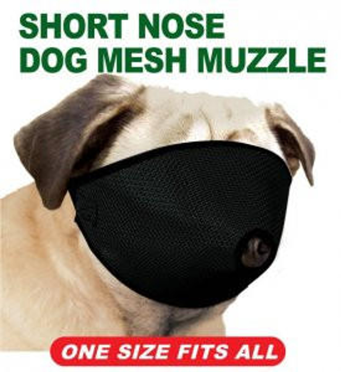 Proguard Mesh Pug Muzzle - Lynn Professional