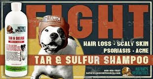 Nature's Specialties Aloe Tar & Sulfur Shampoo - Lynn Professional