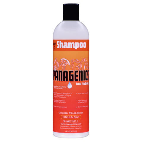 Panagenics Shampoo - Lynn Professional