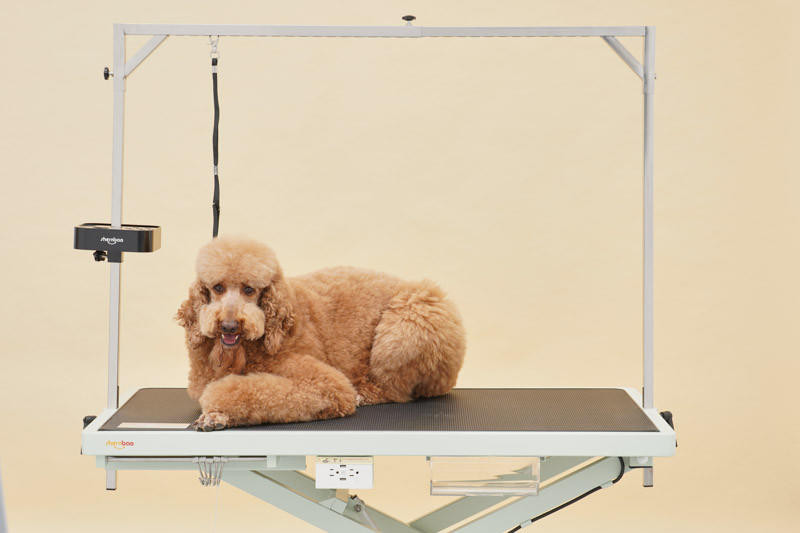 SHERNBAO SUPER LOW-LOW ELECTRIC GROOMING TABLE (FT-808P/FT-808)