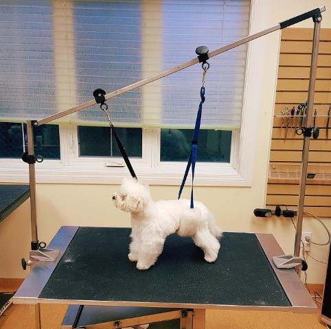 Heavy Duty Overhead Restraint System - Lynn Professional