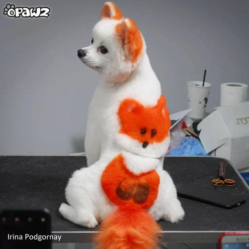Opawz Dog Hair Dye - 2 Sizes (Permanent) - Lynn Professional